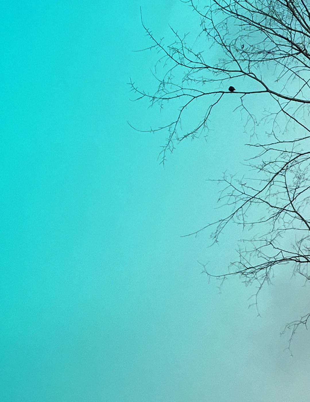 Speaking Truth – Rebekah Faidia Celebrates Integrity and Authenticity ...